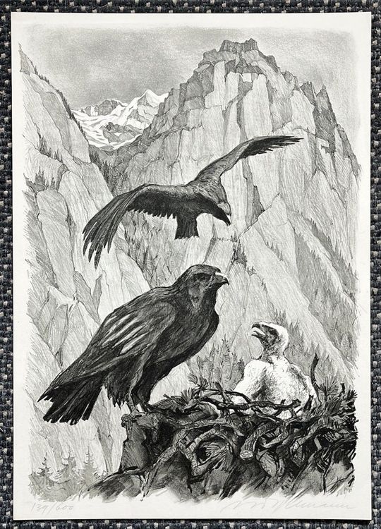 Trümmletental, Adler, Alexander Walter Diggelmann (ID b4281) (Gebraucht ...
