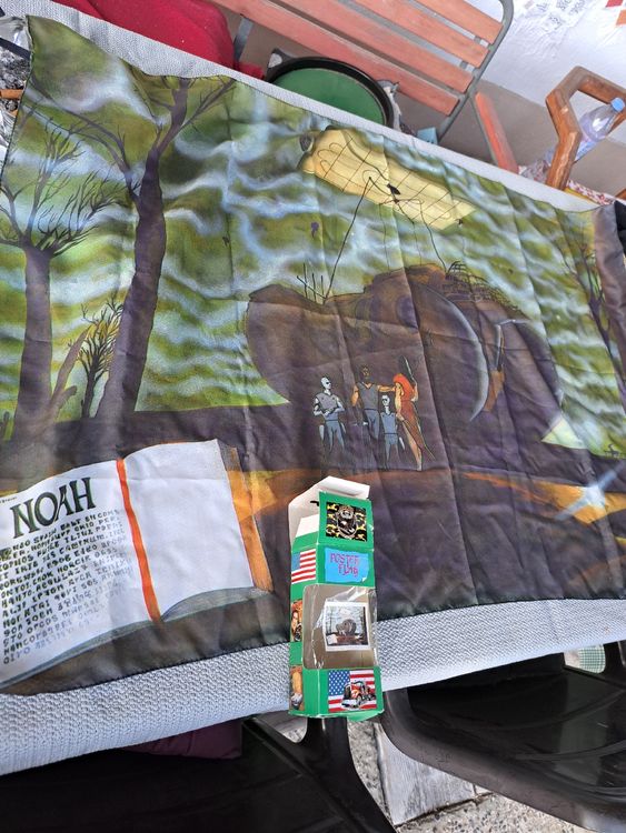 Noah Poster Flag, Kultiges Sammlerstück, Fahne (Gebraucht) in Kölliken ...