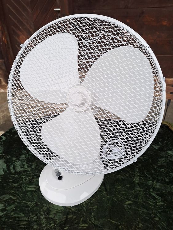 GROSSER PRIMAVISTA VENTILATOR (Gebraucht) in Huttwil für CHF 12 – nur ...