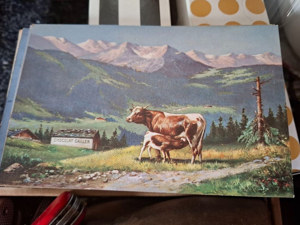 Cartolina d'epoca Cailler (Usato) a Motto Blenio per CHF 4 – con ...