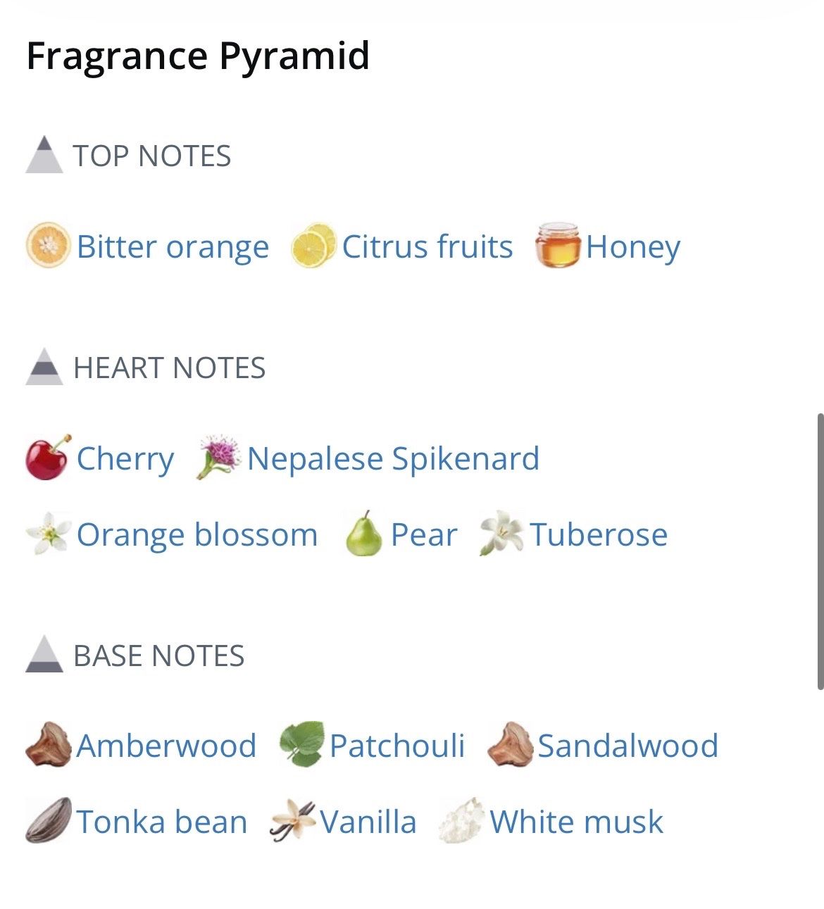 Pendora Solitude Night EDP 5ML(Scandal By Night Dupe) (Gebraucht) in ...