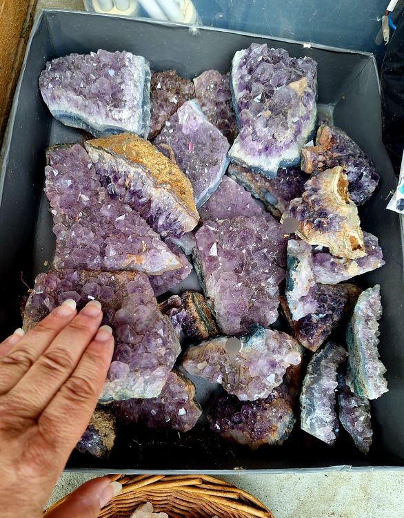 Amethyste und Rosenquarze, Konvolut (Gebraucht) in Vilters für CHF 50 – mit Lieferung auf ...