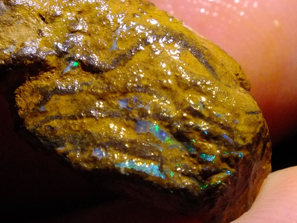 BOULDER ROH OPAL 17.90 Karat Gebot 1.- Grün feuer (Neu und ...