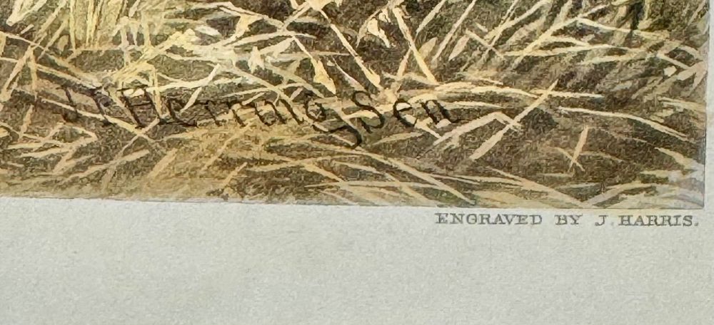 John Frederick Herring senior (1795-1865) Lithografie Sig. (Gebraucht) in Root für CHF 25 – mit ...