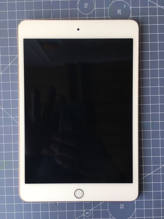 Ipad mini 4 128 GB wifi inkl. Ladekabel (Gebraucht) in Seon für CHF 145 – mit Lieferung auf ...