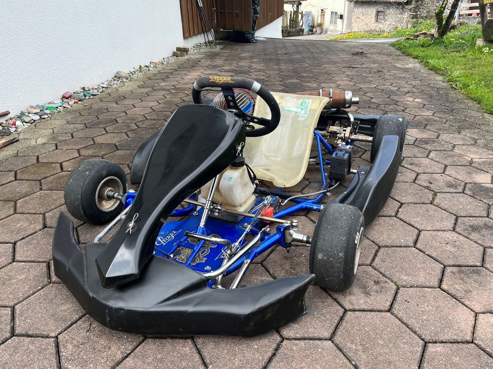 Junior Go Kart Praga (Gebraucht) in Tscherlach für CHF 492 – nur ...