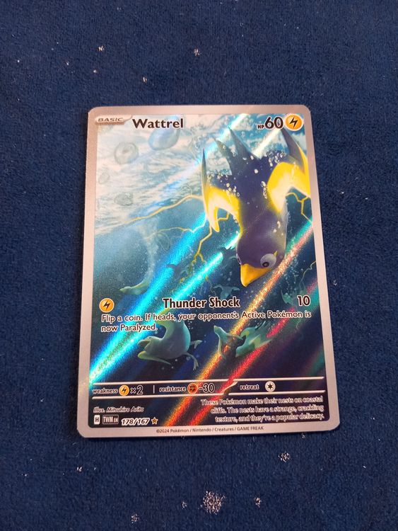 Wattrel Illustration Rare (EN) Twilight Masquerade - TWM 178 | Kaufen auf Ricardo