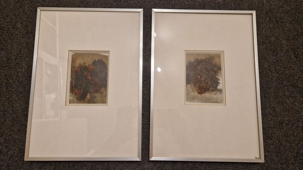 2 Bilder/Gemälde Egbert Moehsnang im Alurahmen | Kaufen auf Ricardo