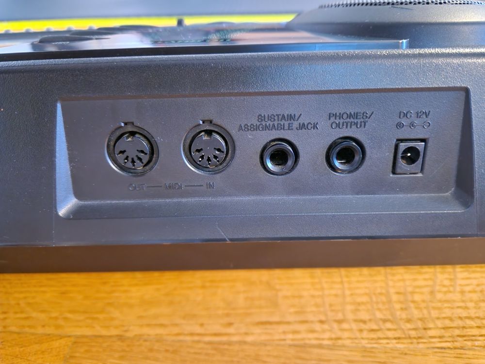 Casio CTK-731 Keyboard | Kaufen auf Ricardo