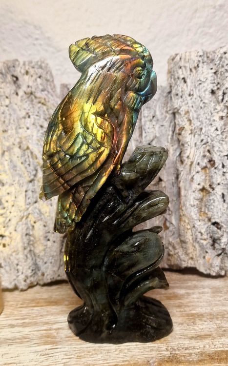 Wunderschöner Labradorit Kakadu 535g (Neu (gemäss Beschreibung)) in ...