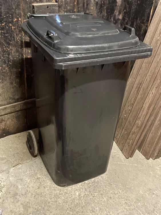 Container Abfallcontainer 240l | Kaufen auf Ricardo