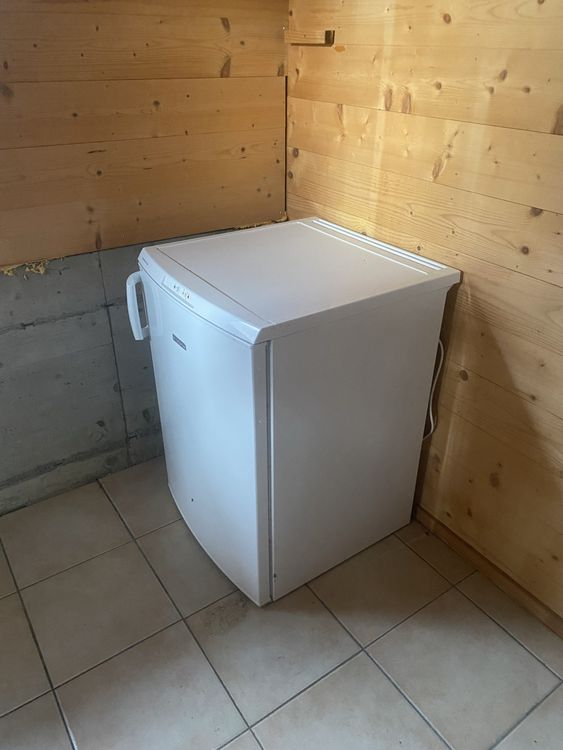 Freezer / Tiefkühlschrank (Gebraucht) in Bern für CHF 100 – nur ...