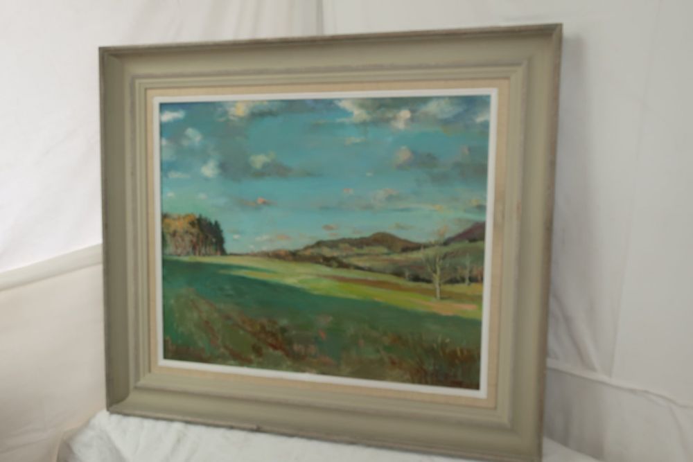 Bild, Oel auf Leinwand, Fritz Pümpin, signiert, rar, ab 1 Fr (Gebraucht) in Pfeffikon LU für CHF ...