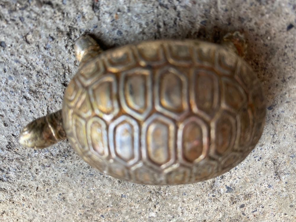 Schildkröte Versilbert | Kaufen auf Ricardo