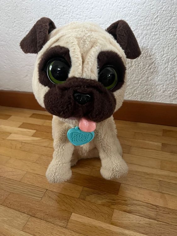 Cute Interactive Pug Plushie Toy (Gebraucht) in Bonstetten für CHF 10 ...
