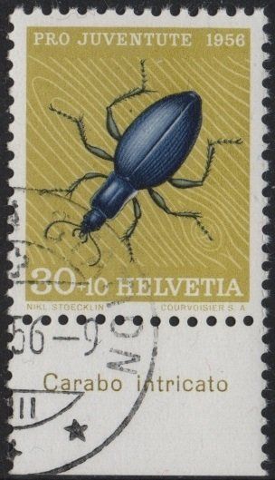 30 Rp. Blauer Laufkäfer mit TAB (Carbo intricato) (Gebraucht) in ...