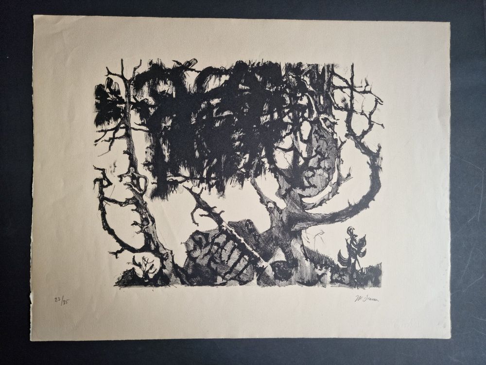 KÜNSTLER ? UNLESERLICH SIGNIERT LITHOGRAPHIE NUMMERIERT (Gebraucht) in Gersau für CHF 18 – mit ...