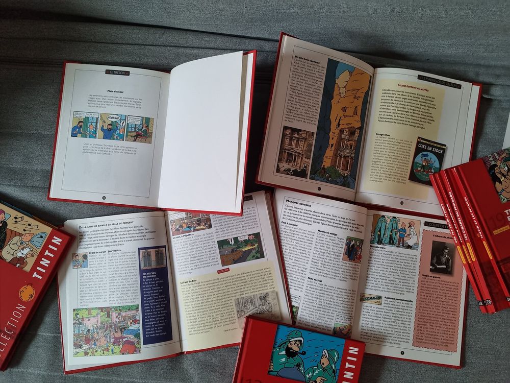 Tintin Collection Tout savoir sur... en 21 volumes | Kaufen auf Ricardo Tintin Collection Tout savoir sur... en 21 volumes | Kaufen auf Ricardo