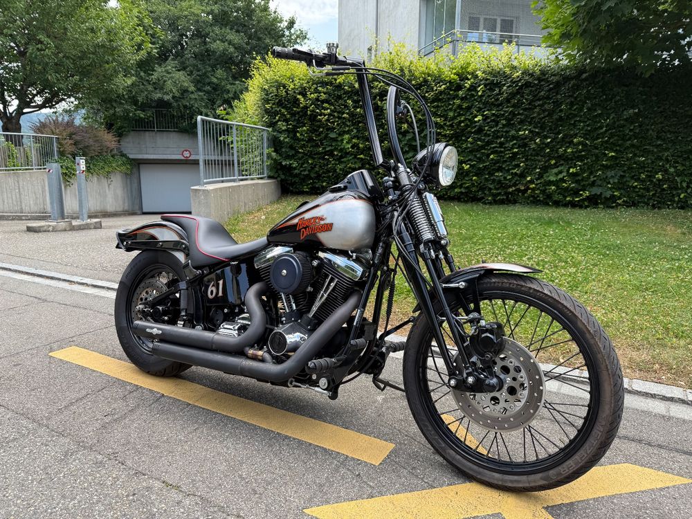 Harley Bad Boy