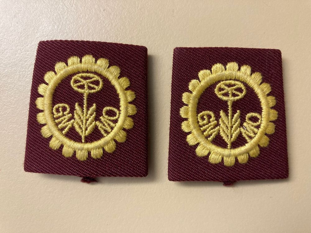 1 Paar Patten Militärmotorfahrer GMMO - Schweizer Armee | Kaufen auf ...