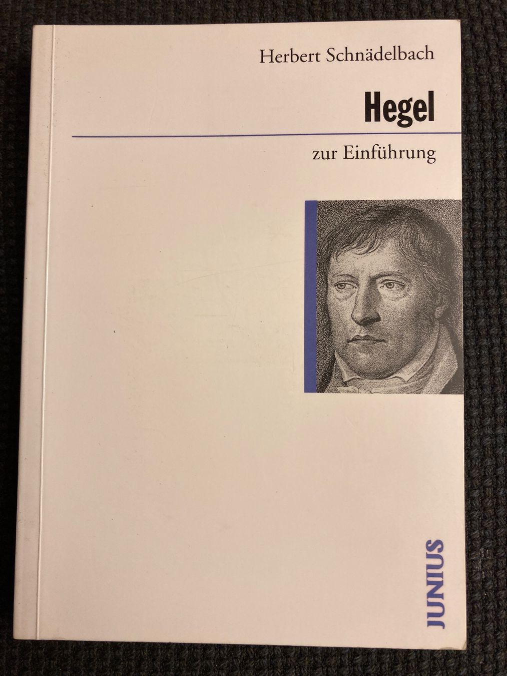Hegel, zur Einführung (Gebraucht) in Baden für CHF 6 – mit Lieferung ...