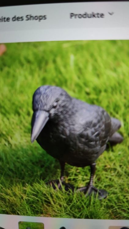 Fabelhafte Rabe Fur Balkongelander Fotos