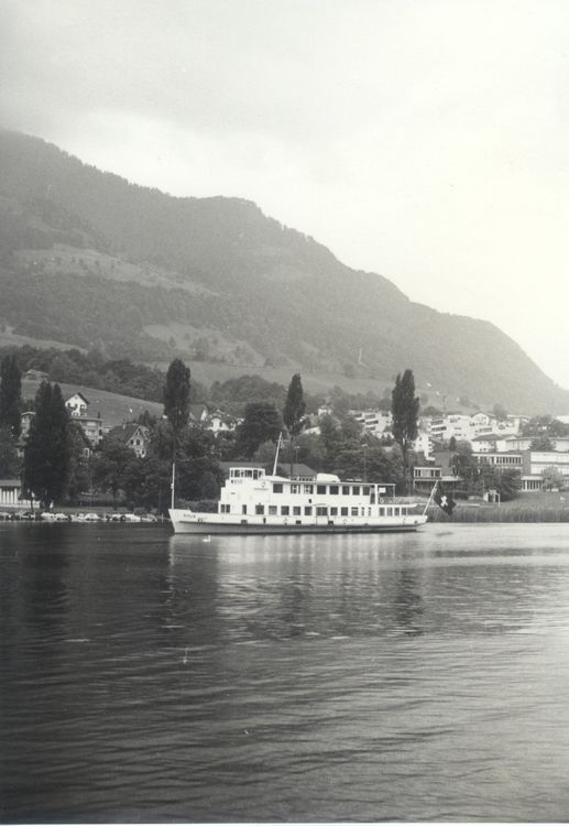 Foto MS Titlis, SGV, Schiff, Vierwaldstättersee | Kaufen auf Ricardo