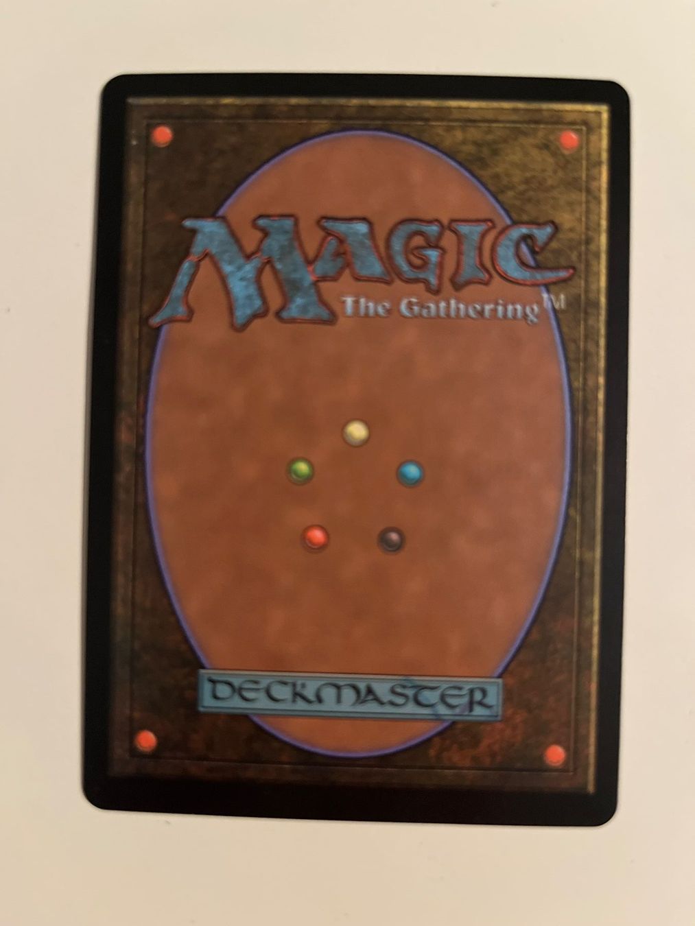 1 x Basking Rootwalla - Magic: The Gathering - MtG (Gebraucht) in ...