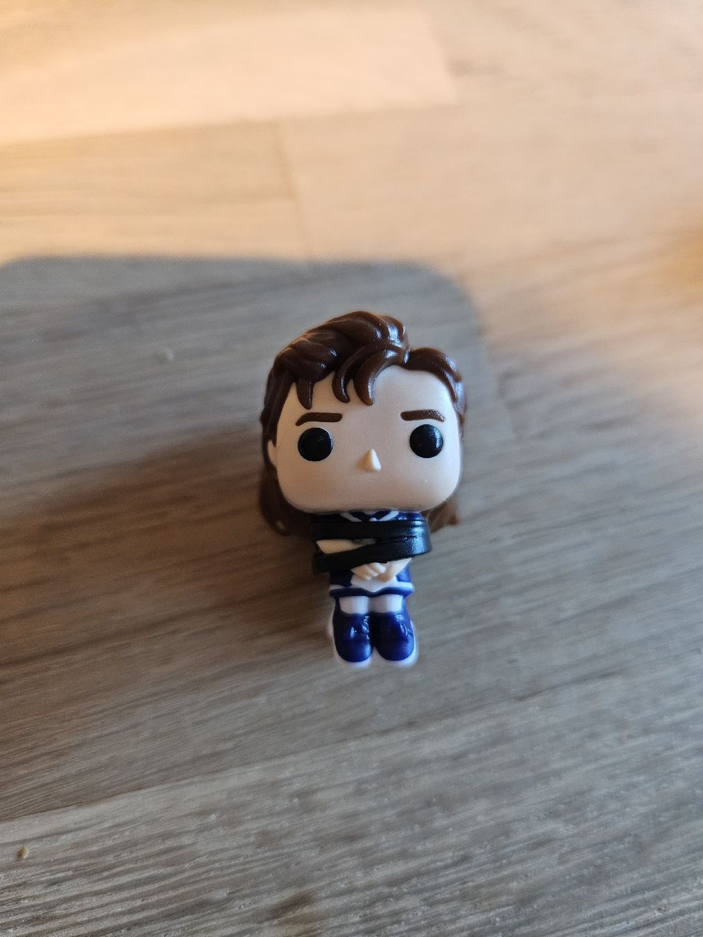Steve & Robin, Stranger Things Kinder Joy Sammelfigur (Neu (gemäss ...