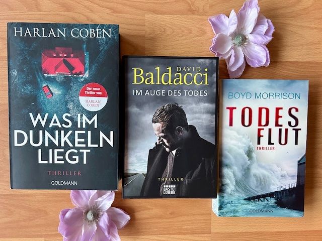 Harlan Coben, David Baldacci, Boyd Morrison, Chevy Stevens (Neu (gemäss ...