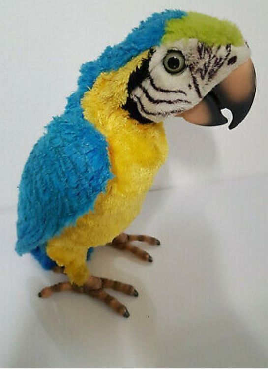 Imagedetailfurreal Papagei Gebraucht Kaufen Nur 4 St Bis 70 Gunstiger 2022 09 01990946