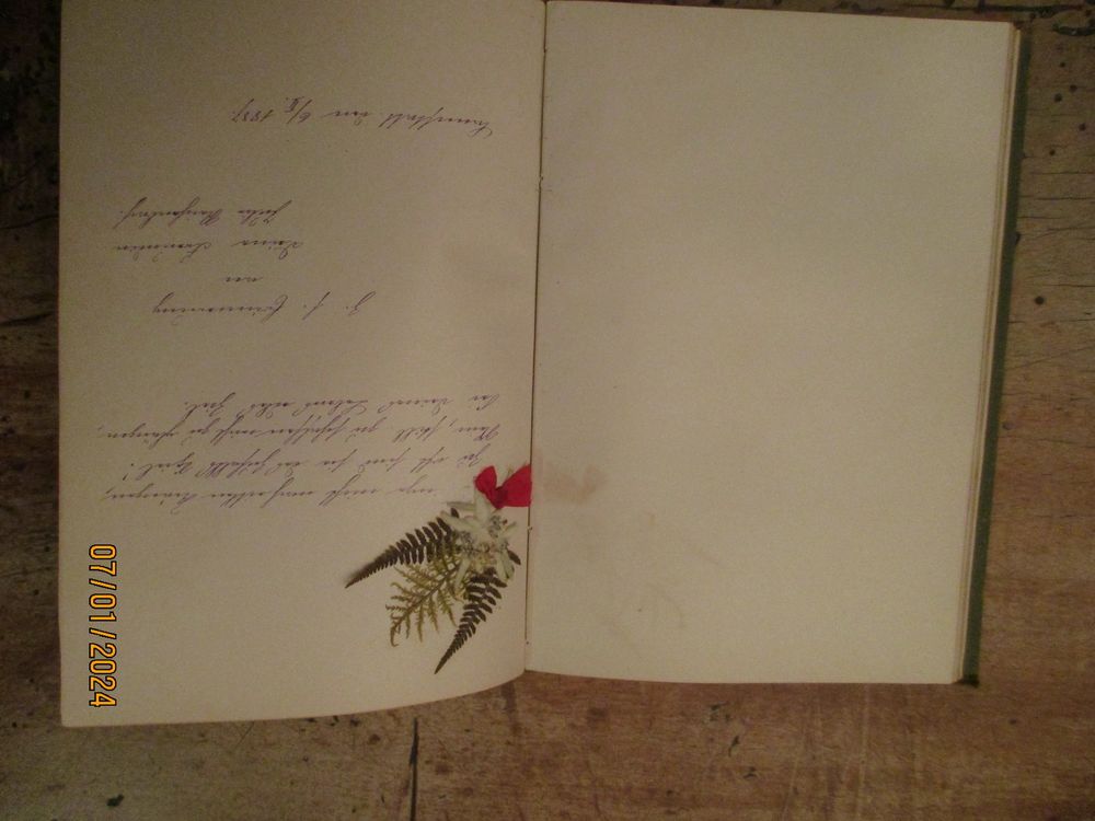2 x Poesie Album 1904+1883 schöne Gedichte, Bilder+Einbände! (Gebraucht ...