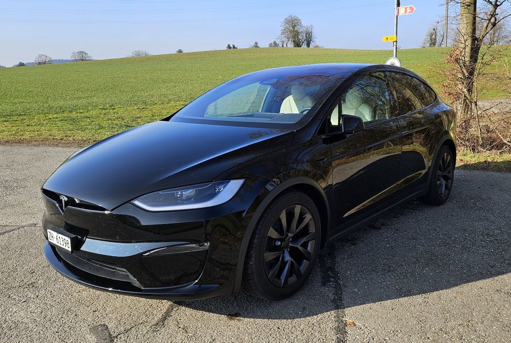 TESLA Model X 100kWh Palladium, Premium-Innenraum Creme (Gebraucht) in ...