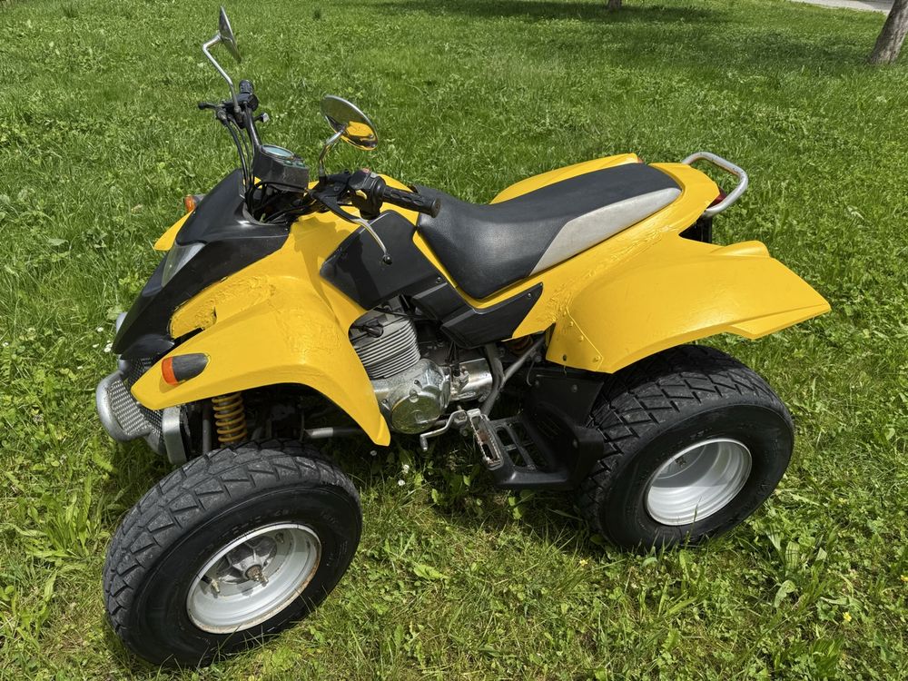 Quad SMC Snake 250 (Gebraucht) in Niederuzwil für CHF 805 – nur ...