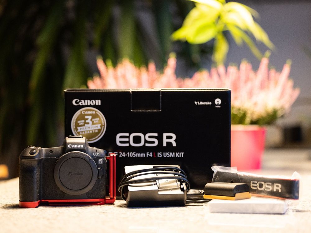 Canon EOS R Body (Gebraucht) in St. Gallen für CHF 929 – mit Lieferung ...