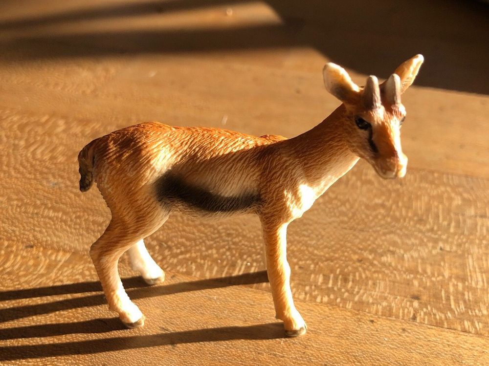 Junge Gazelle von Schleich | Kaufen auf Ricardo