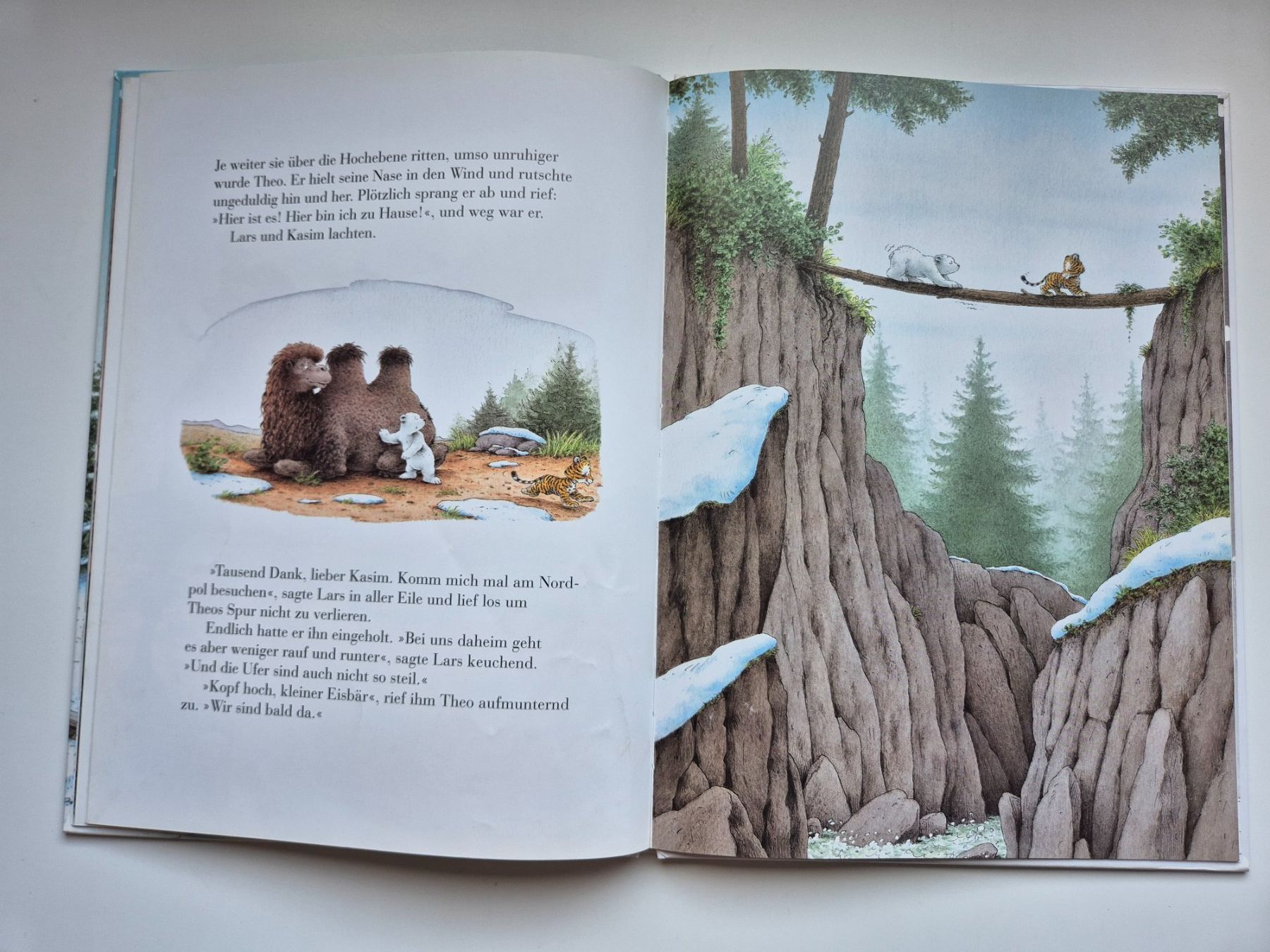 Kleiner Eisbär kennst du den Weg ? Eisbär Lars 🐻‍ ️ ️ (Gebraucht) in ...