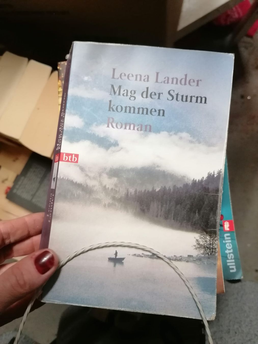 Leena Lander: Mag der Sturm kommen - Roman für kalte Tage 58 (Gebraucht ...