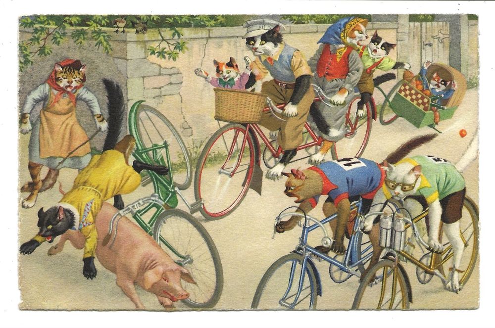 Katzenkarte - Künstler Max Künzli No 4679 - Velorennen 1952 (Gebraucht ...