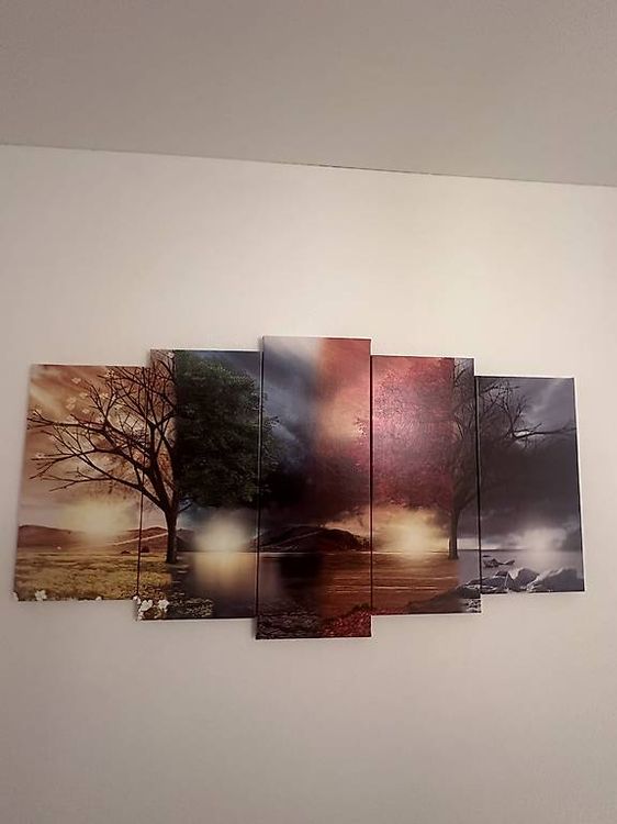 Bilder Set (Gebraucht) in Luzern für CHF 20 – nur Abholung auf Ricardo kaufen