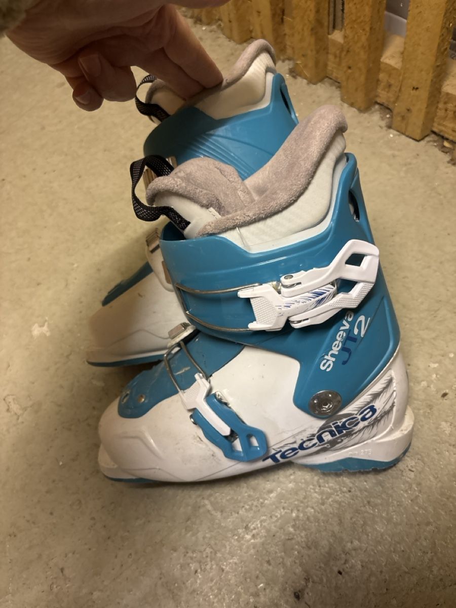 Skischuhe Kinder Tecnica MP22.0 - 23.5 (Gebraucht) in Herrenschwanden ...