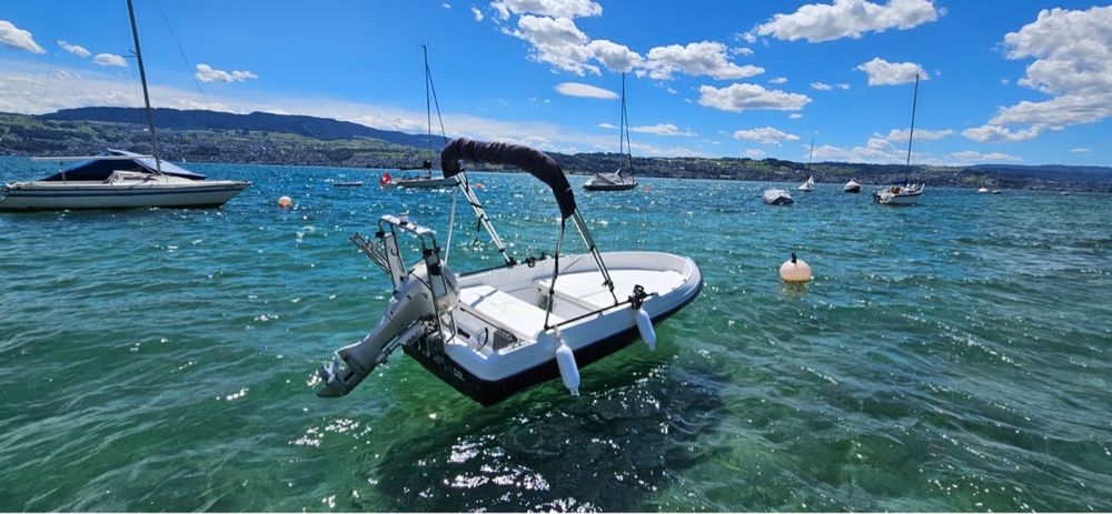Motorboot Terhi Sea Fun 501 mit 8PS Motor (Gebraucht) in Hombrechtikon ...