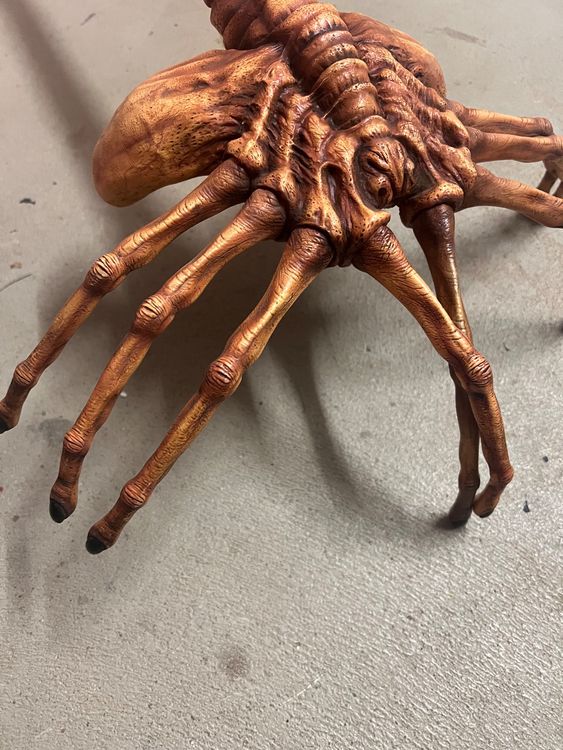 Facehugger Alien, HR Giger, Aliens, Predator Horror (Neu (gemäss ...