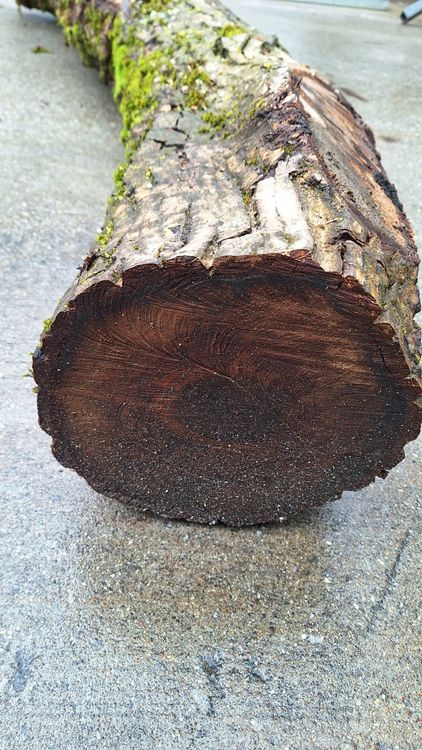 Nussholz Ast Holz Nussbaumholz drechseln basteln (Neu (gemäss ...