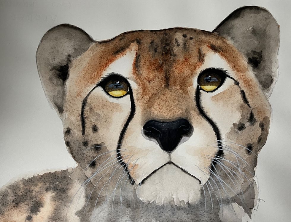 Magnifique aquarelle d'un guépard - artiste Hemmy Fassolis (Neuf (Voir ...