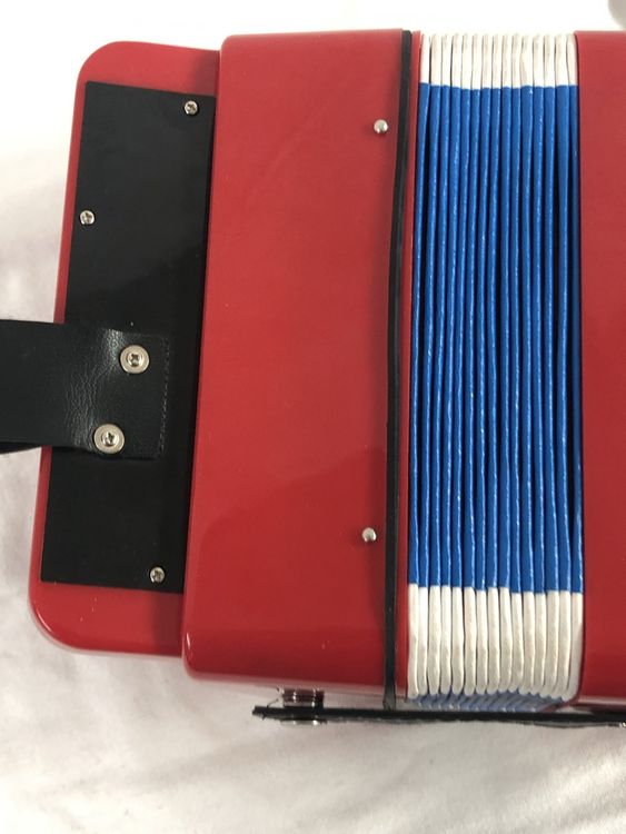 Musicube Akkordeon - Das perfekte Instrument für Anfänger! (Neu (gemäss ...