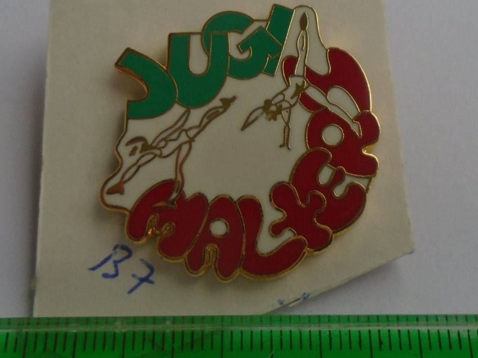 1 Jugi Pin (B7) | Kaufen auf Ricardo