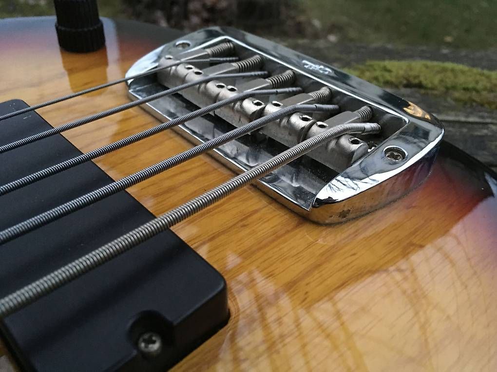 G&L L5500 E-Bass-Gitarre 5 String made in USA (Gebraucht) in Frauenfeld ...