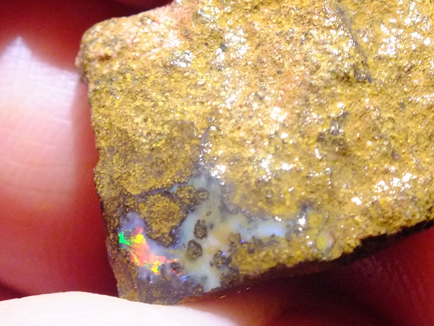 BOULDER ROH OPAL 1000 karat Lot Alle Steine mit Feuer (Neu und ...