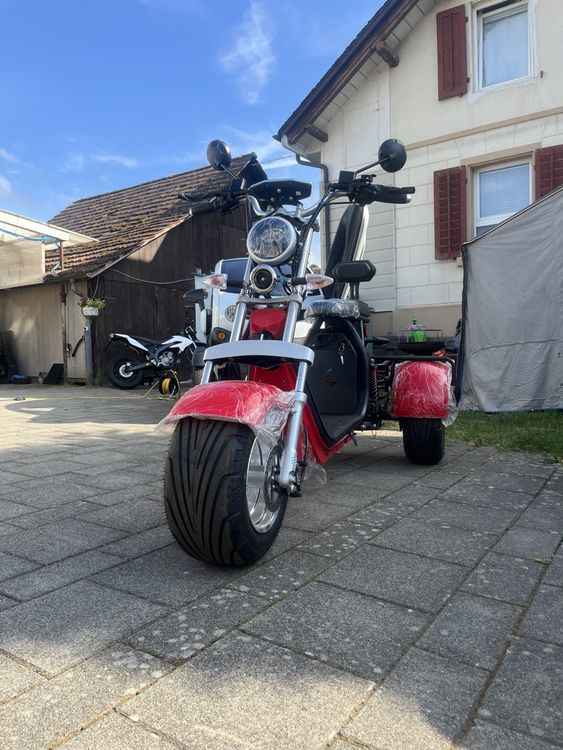 E-Scooter Coco Trike Bike Dreirad 60V 21ah 2000 Watt (Neu (gemäss ...